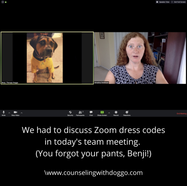 15 Times Zoom Meetings Were Better With Dogs - Unleashed Counseling